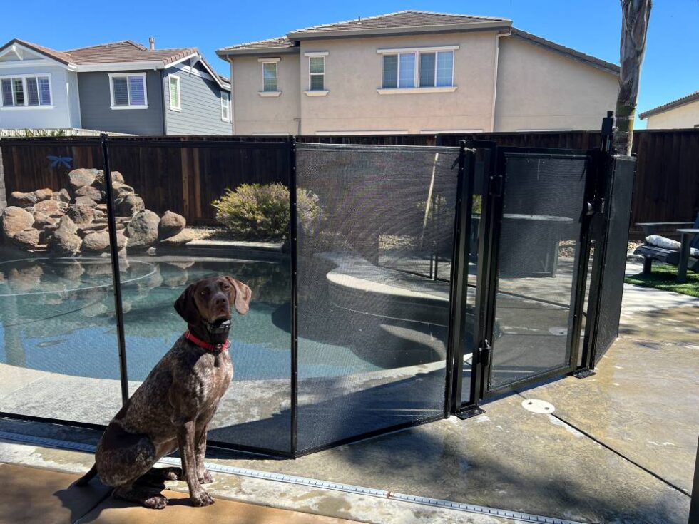 Pool Barriers Save Lives - Baby Barrier® Pool Fence of San Jose
